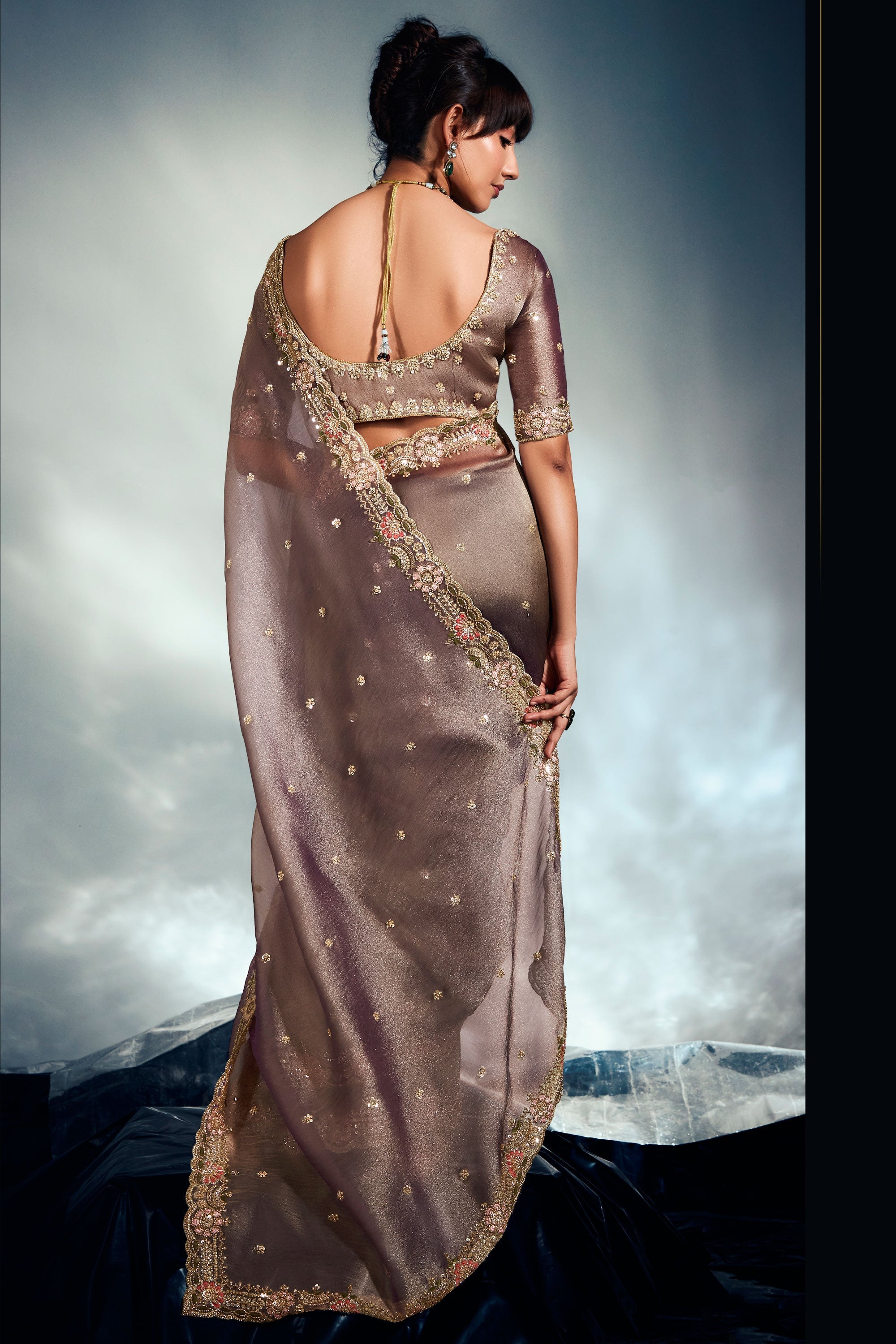 Chikoo Color Organza Fabric Engaging Saree With Fancy Heavy Work ...